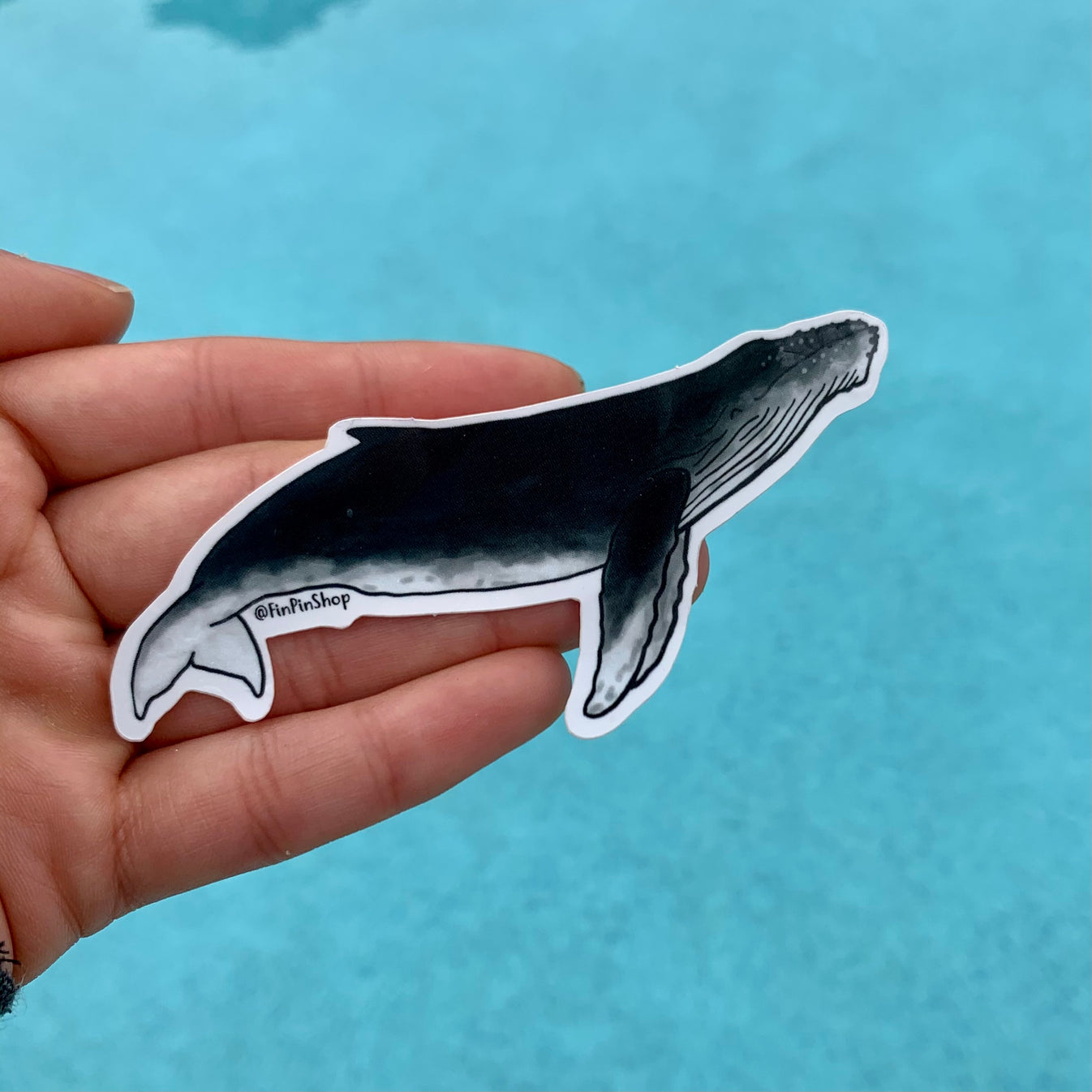 Humpback whale sticker Donation Item – Fin Pin Shop