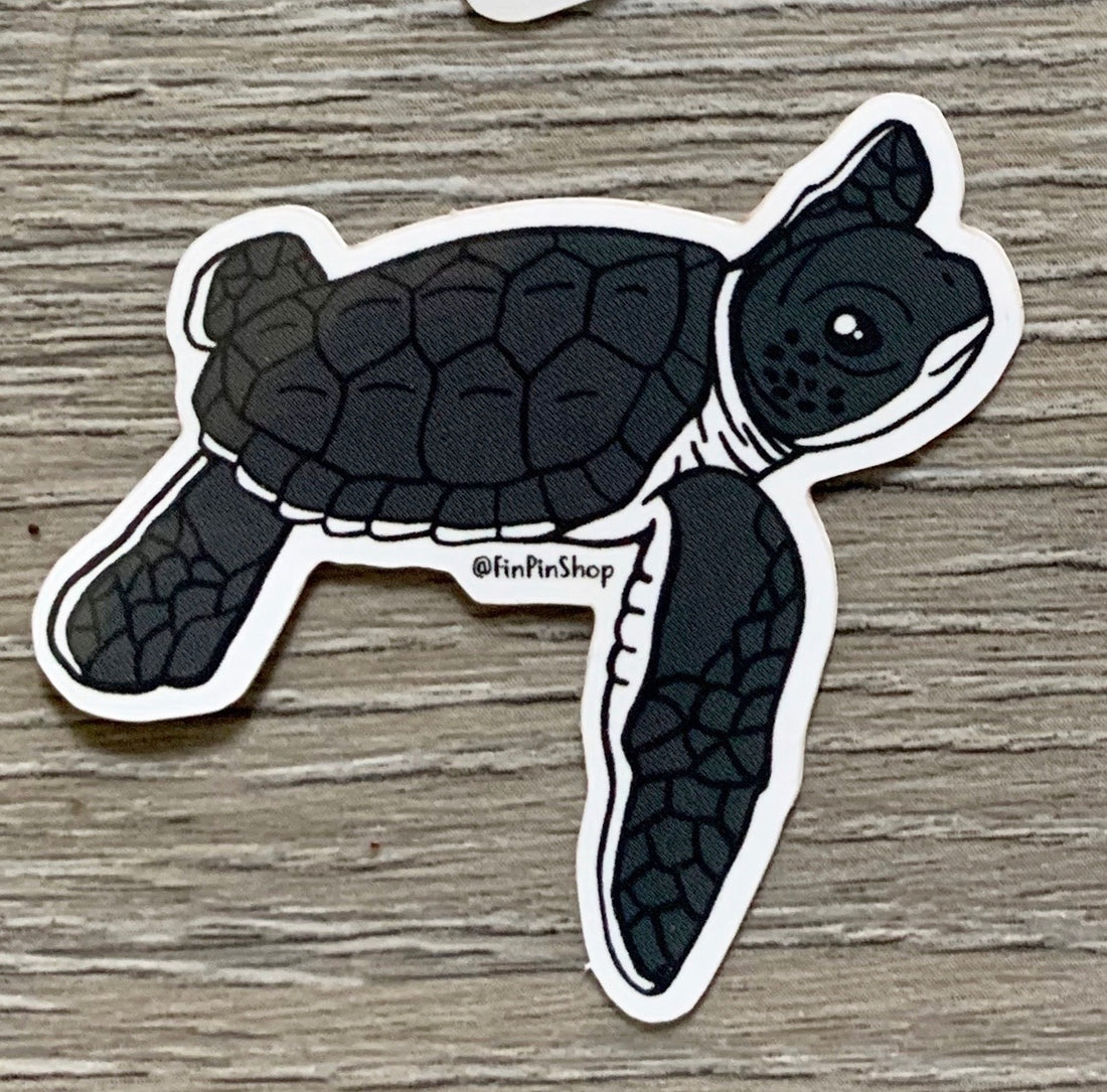 Green sea turtle sticker - Donation Item – Fin Pin Shop